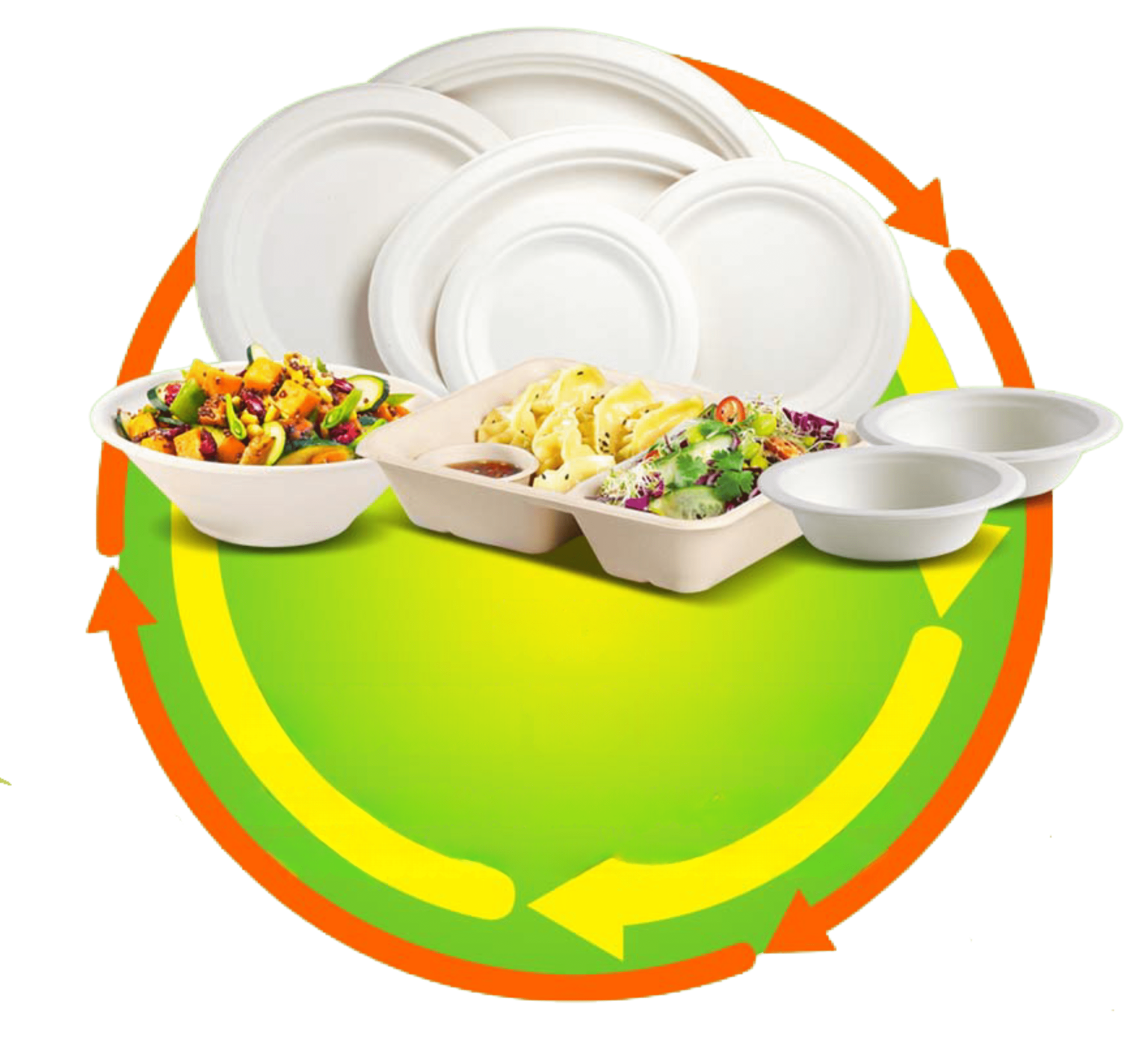 Asia International – Manufacturer of 100% Biodegradable tableware